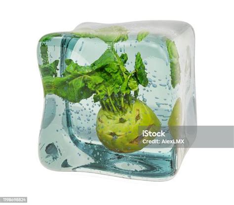 콜라비는 얼음 큐브에 얼어 흰색 배경에 고립 된 3d 렌더링 3차원 형태에 대한 스톡 사진 및 기타 이미지 3차원 형태 각얼음 개념 Istock