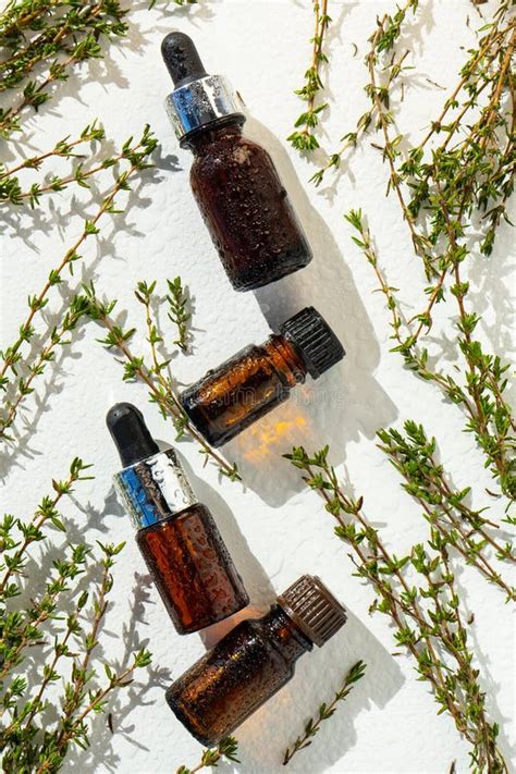 Ottles Of Thyme Essential Oil With Fresh Thyme Sprigs And Other Bottles In The Background Thyme