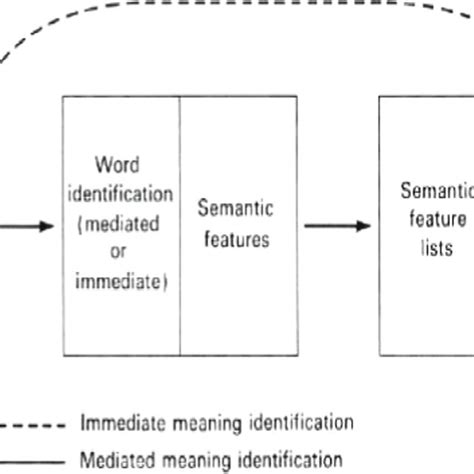 Immediate And Mediated Meaning Identification Download Scientific Diagram
