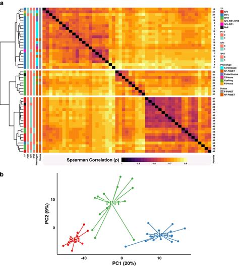Overview Of The Expression Profiles Of The Protein Coding Genes In The Download Scientific