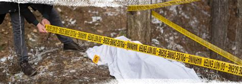 Trail Of Crimes The Blood Mountain Murder Of Meredith Emerson Geogrit