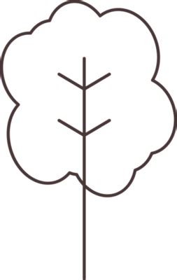 Line Art Trees PNGs For Free Download