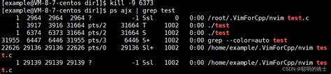 linux进程状态 csdn博客