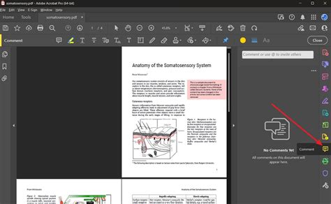 How To Annotate A Pdf Learn Everything You Must Know