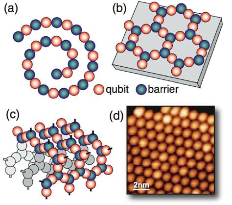 Arrays Of Different Dimensionality A C Images Showing Various Download Scientific Diagram
