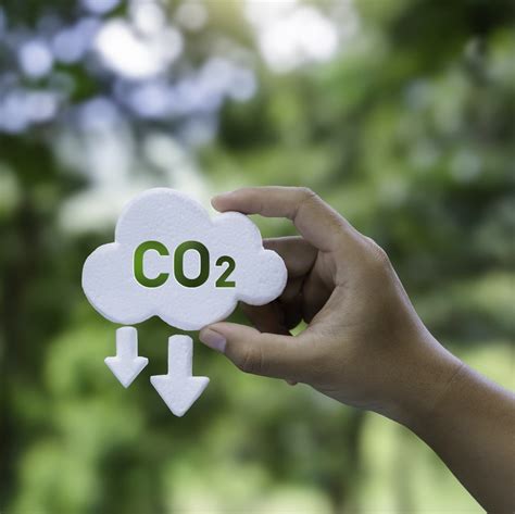 Warm Homes Social Housing Fund Zero Carbon Group