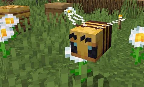 What Is The Fastest Way Of Breeding Bees In Minecraft