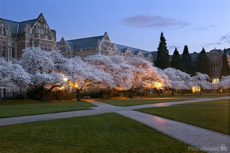 University Of Washington Seattle Campus Photo Spot