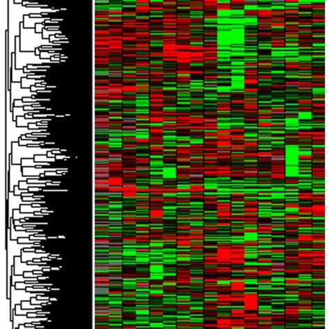 Supervised Gene Clustering And Canonical Pathway Analysis Heat Map Of Download Scientific