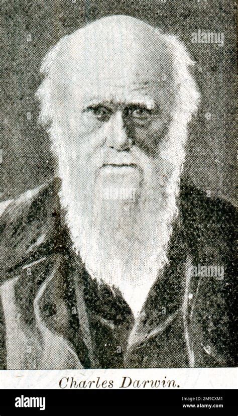 Darwin Charles Fotos Und Bildmaterial In Hoher Auflösung Alamy
