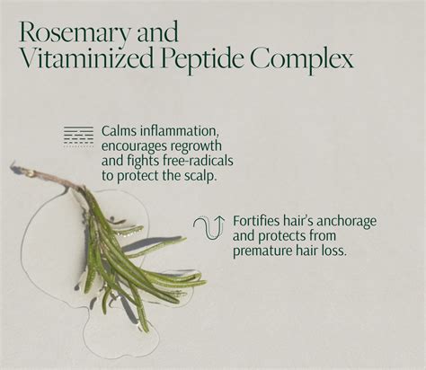 Rosemary Remedy Intensive Anti Hair Fall Scalp Treatment Tara Nature
