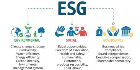 Esg Framework