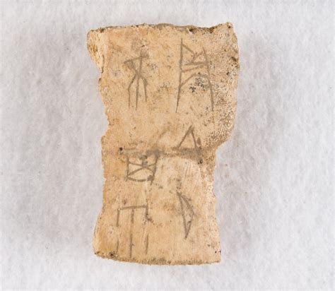 inscribed bone fragment oracle bone late shang dynasty ca 1300 1050 bce