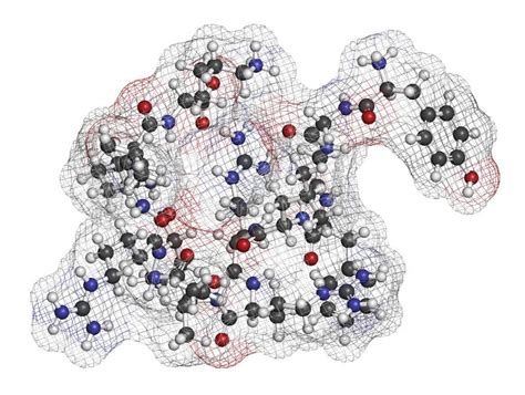 Peptide Yy Pyy Appetite Reducing Polypeptide Stock Illustration