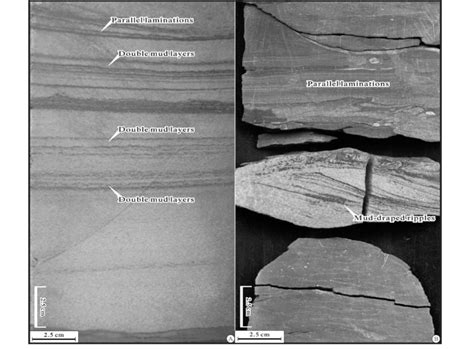 Panel A Core Photographs Of Ungraded Sand Facies Showing Download Scientific Diagram