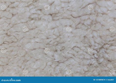 Sheep Wool Texture Stock Photo Image Of Abstract Fleece 121889874