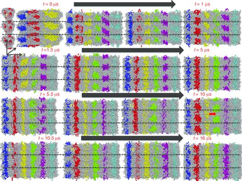 Dynamic Process Of Fibre Formation From A Homogenous Mixture