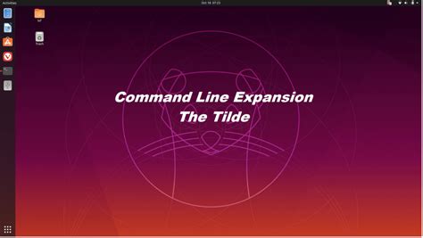 Tilde Expansion A Powerful Tool For The Command Line Amar It Tech