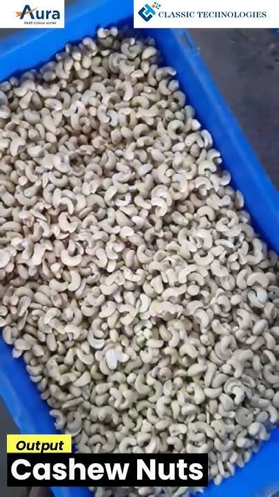 Cashew Nuts Color Sorting Enhance Your Product With Our Sorter Machine