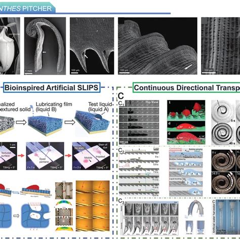 From A Closed Microfluidic Technology To B Open Microfluidic Download Scientific Diagram