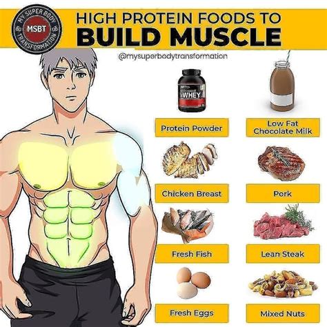 Good Protein For Muscle Gain At Carly Decosta Blog