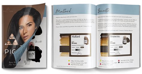 Pigment Guide The Brow Effect Miami