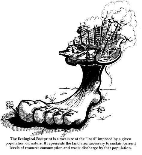 Classic Vs Adaptive Autosar Autosar Short For Automotive Open… By Pamir Ghimire Medium