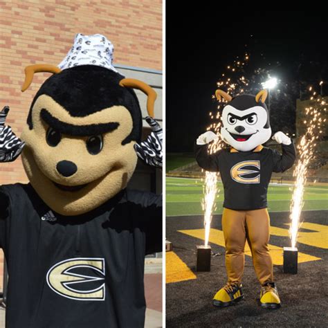 The Evolution Of Corky The Hornet Free