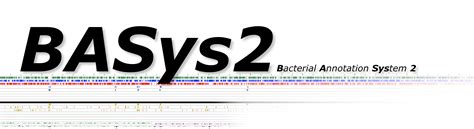 Basys2