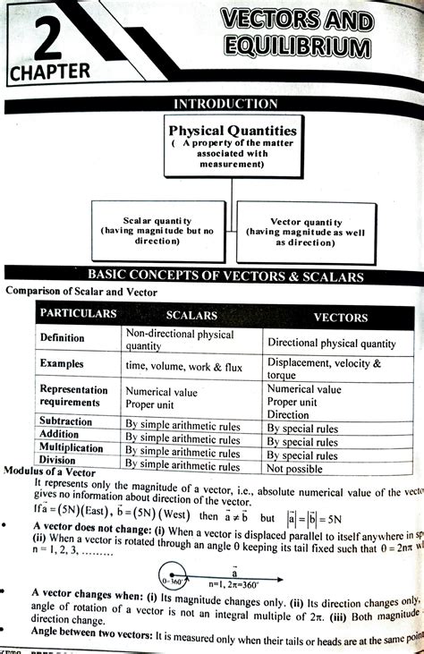 Solution Vectors And Equilibrium Notes Studypool