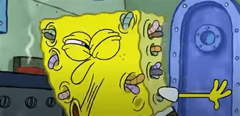 Never Pause Spongebob R Spongebob