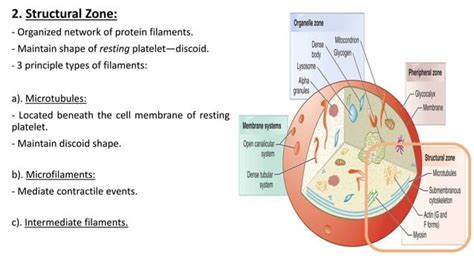 Platelet Function Tests Pptx