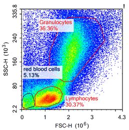 Mouse Bone Marrow Single Cell Suspension Preparation Process And