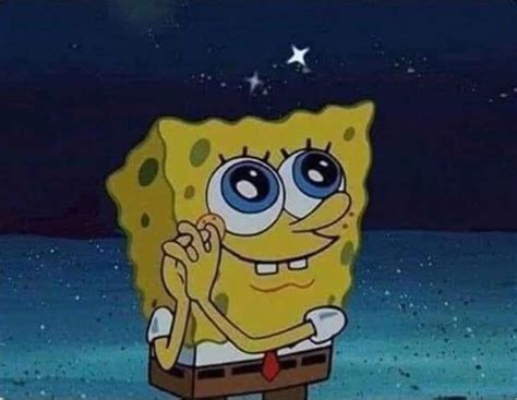 🛠️ ¿qué Es Scribe Suleidis Leyva