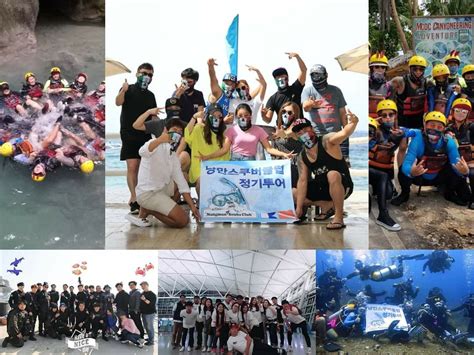 낭만 스쿠버다이빙클럽해외여행스쿠버교육 Band