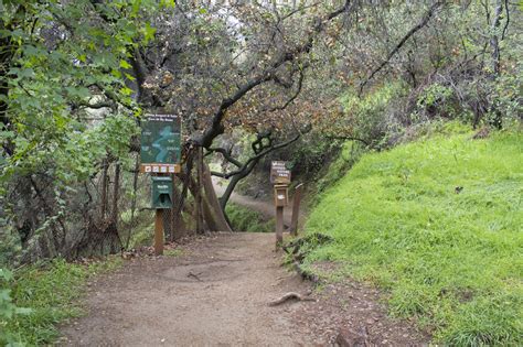Monrovia Canyon Park Plants