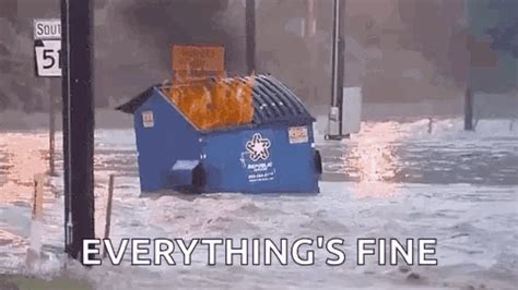 Dumpster Fire Its Fine Everything Is Fine  Dumpster Fire Its Fine