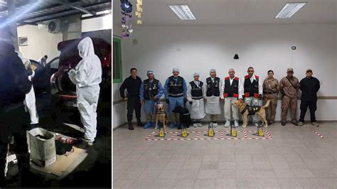 La Historia Del Picasso Que Nunca Vio La Luz Y Que Promete “expandir