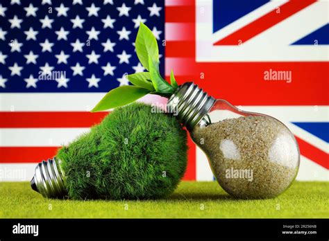 Green Eco Light Bulb With Grass Plant Growing Inside The Light Bulb United States And United