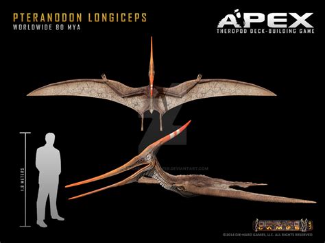 Pteranodon Longiceps By Herschel Hoffmeyer On Deviantart