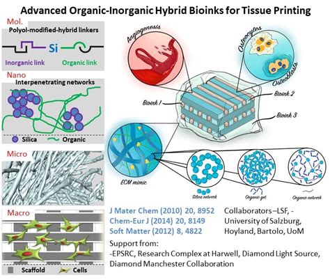 Research Projects Materials For Regenerative Medicine Biomaterials Research