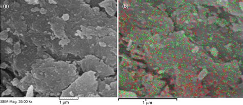 Sem Micrograph And Typical Ti Map Image Of Hybrid Nanocomposite Download Scientific Diagram