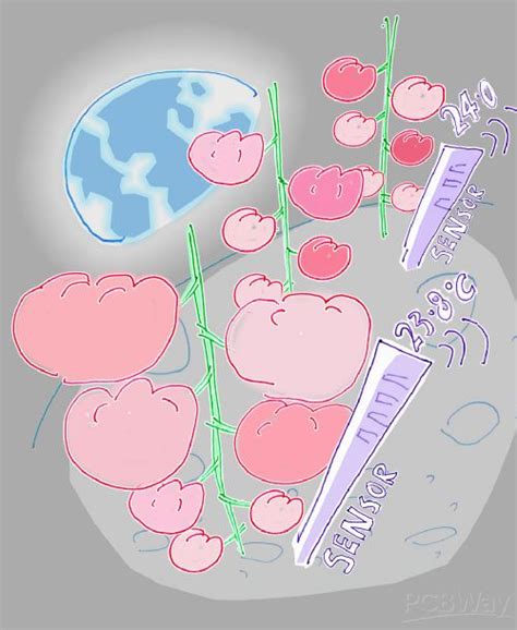 Rust Rocks Nb Iot Stm32 Blue Pill With Quectel Bc95 G On Apache Mynewt Technology Pcbway