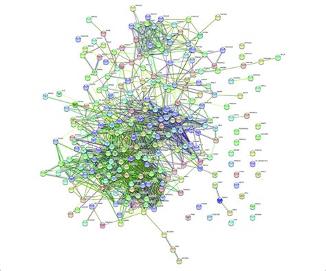 String Protein Protein Interaction Network Showing The Interactions