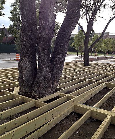 Build A Tree Deck To Hide Roots Artofit