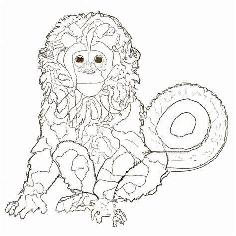 Desenhos De Mico Leão Dourado Para Imprimir E Colorir