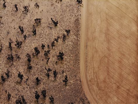 The Low Down On The Biodiversity Offset Scheme Commencing 26 November Eco Logical Australia