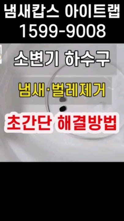 화장실 하수구 트랩 냄새제거 벌레 악취 차단소변기 하수구 냄새 벌레제거 아이트랩 초간단 해결방법 1599 9008 Youtube