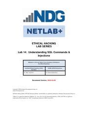 Lab Understanding SQL Commands Injections Pdf ETHICAL HACKING LAB SERIES Lab