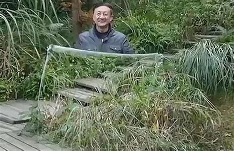 ¡harry la capa de invisibilidad existe y la creó un científico chino